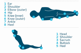 STOP Pressure Injury Day - New Zealand Wound Care Society